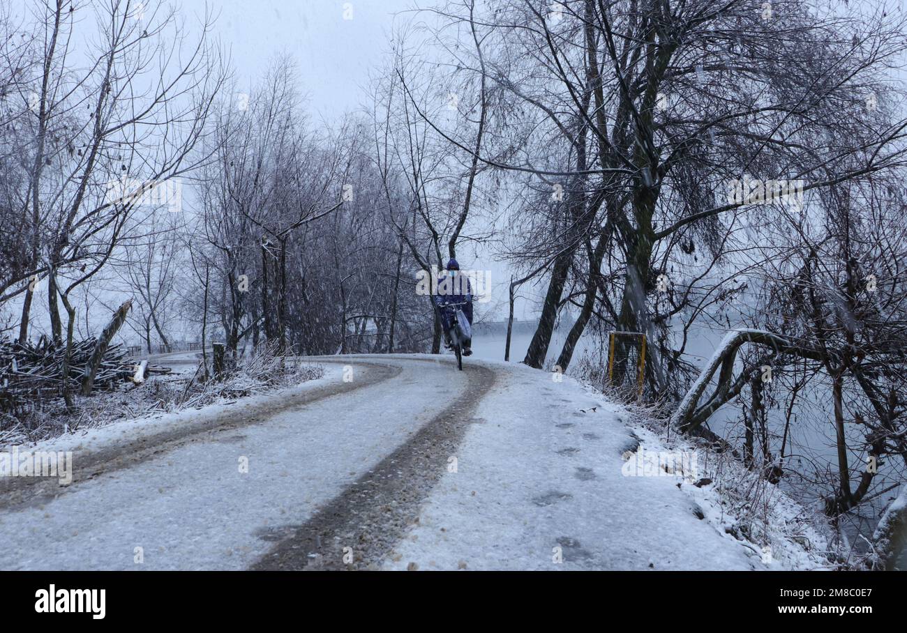 January 13, 2023, Srinagar, Jammu and Kashmir, India: A man cycles ...