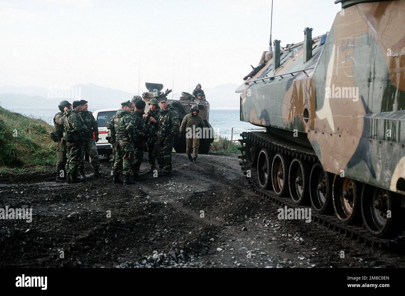 Assault amphibious vehicle detachment hi-res stock photography and ...