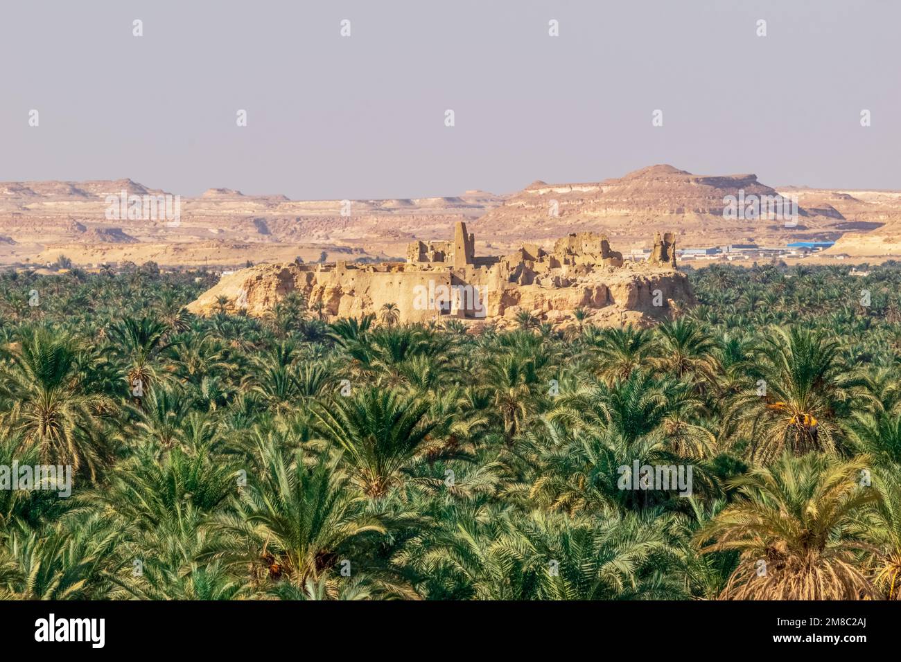 A landscape view of the ancient temple in Siwa Oasis with rocky ...