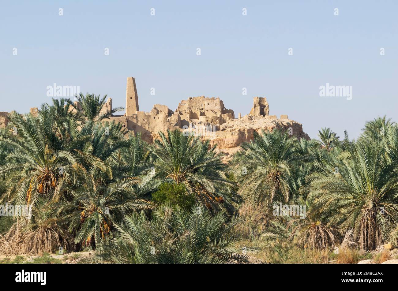 A landscape view of the ancient temple in Siwa Oasis with rocky ...