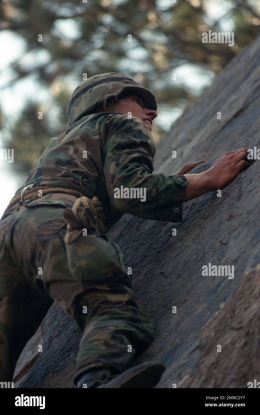 Marine Corps Mountain Warfare Training Center. A Marine from 3rd ...
