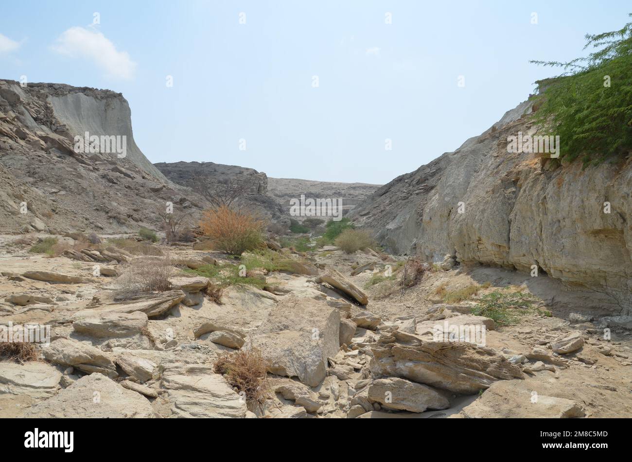 dry and rocky landscape with trees and plants at Qeshm Island, Iran ...