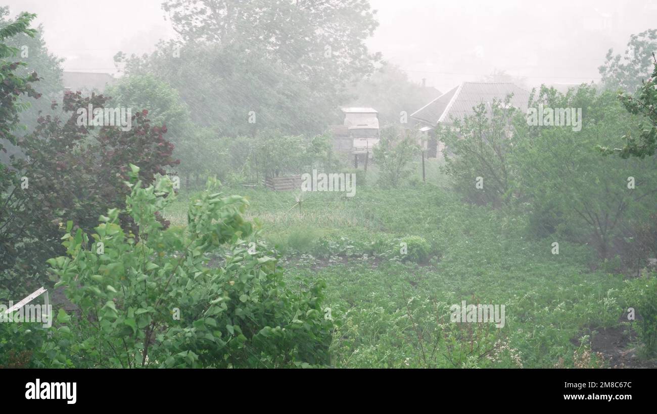 Heavy rain pouring down on roof of house. Storm rain at countryside ...