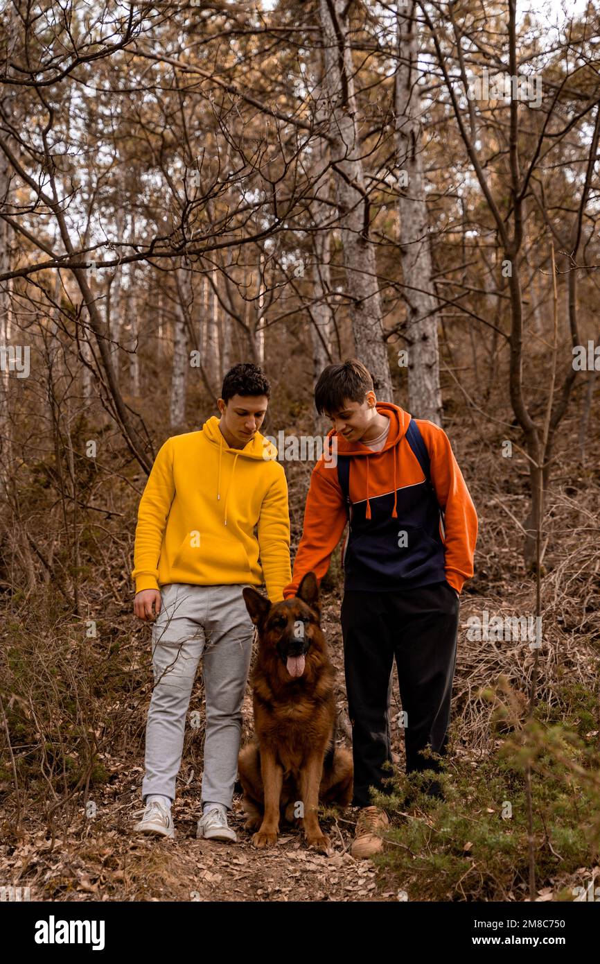 Amazing and handsome male friends are taking a break with the dog while ...