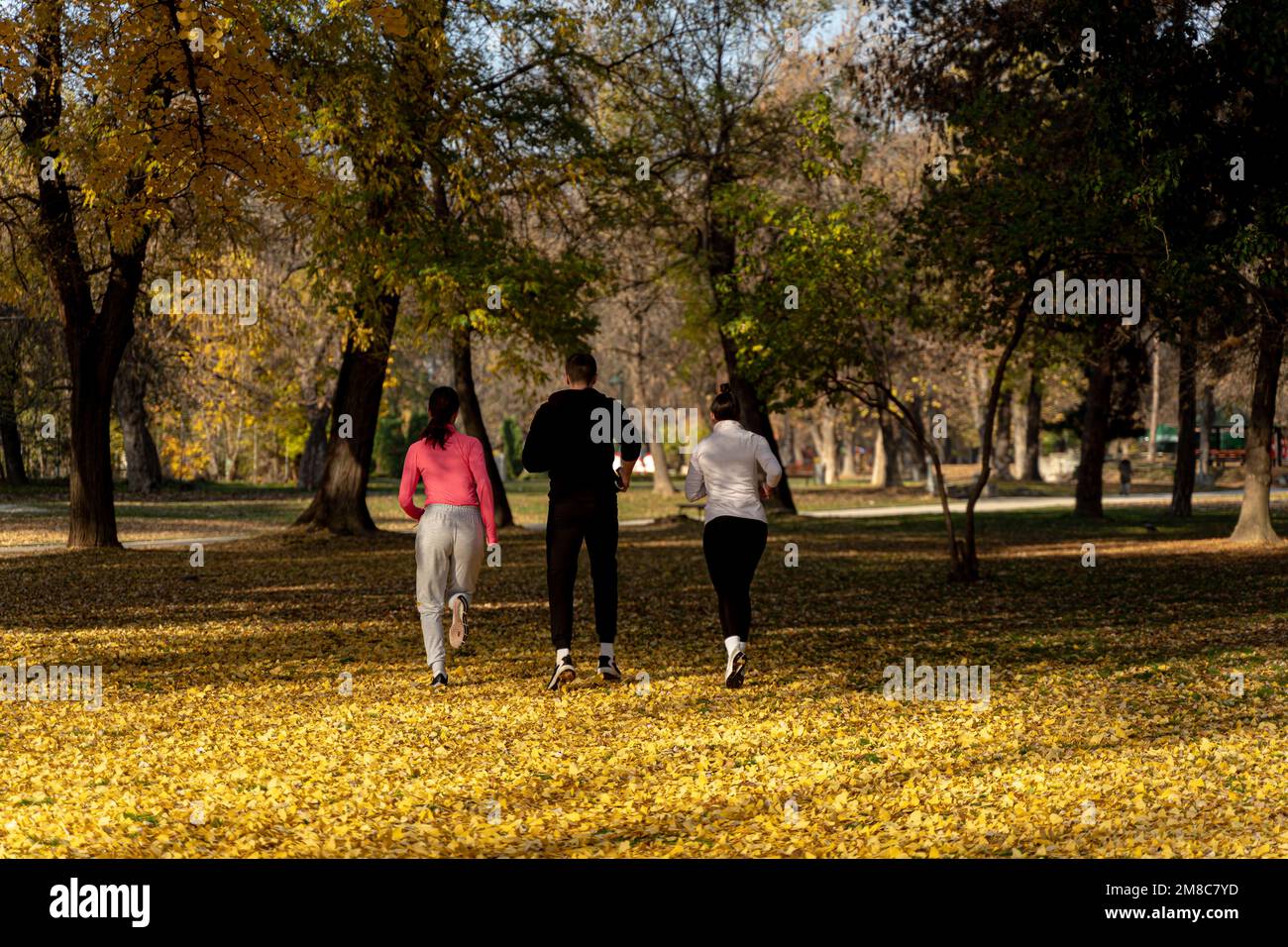 Three amazing and attractive fit friends are running together Stock ...