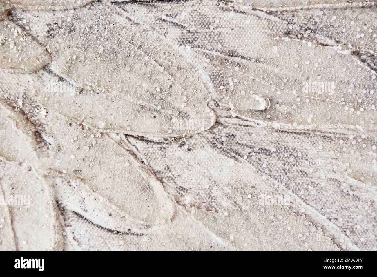 Abstract decorative plaster wings and feathers with ornate for ...