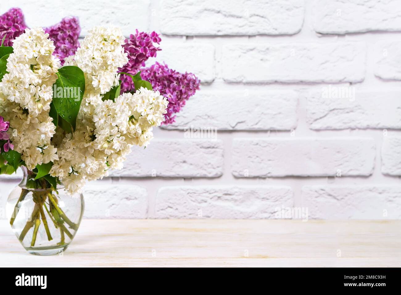Beautiful blooming purple and white lilac flowers in vase on white wall ...