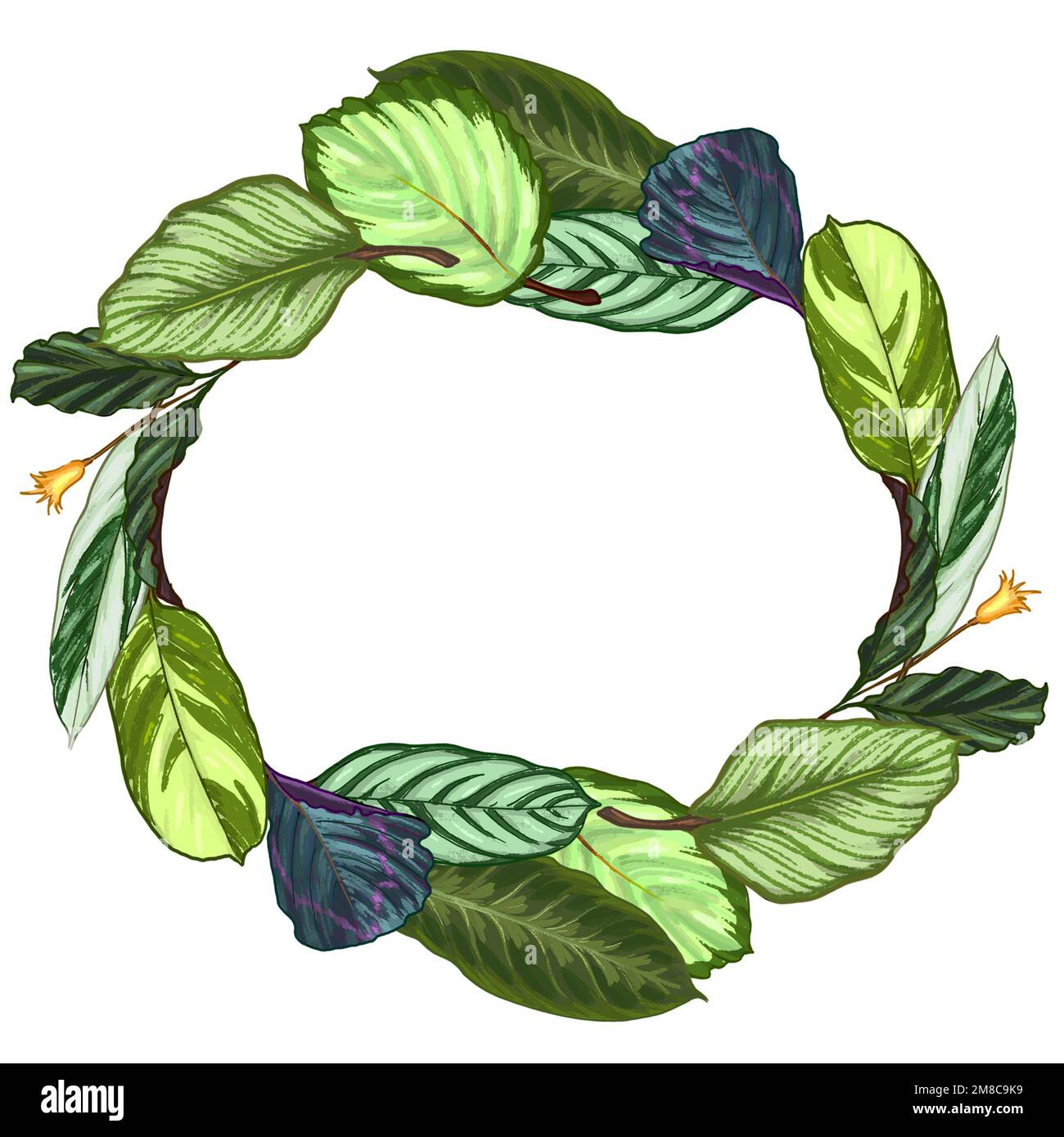 Illustration of indoor plants of various shapes, colors and sizes with ...