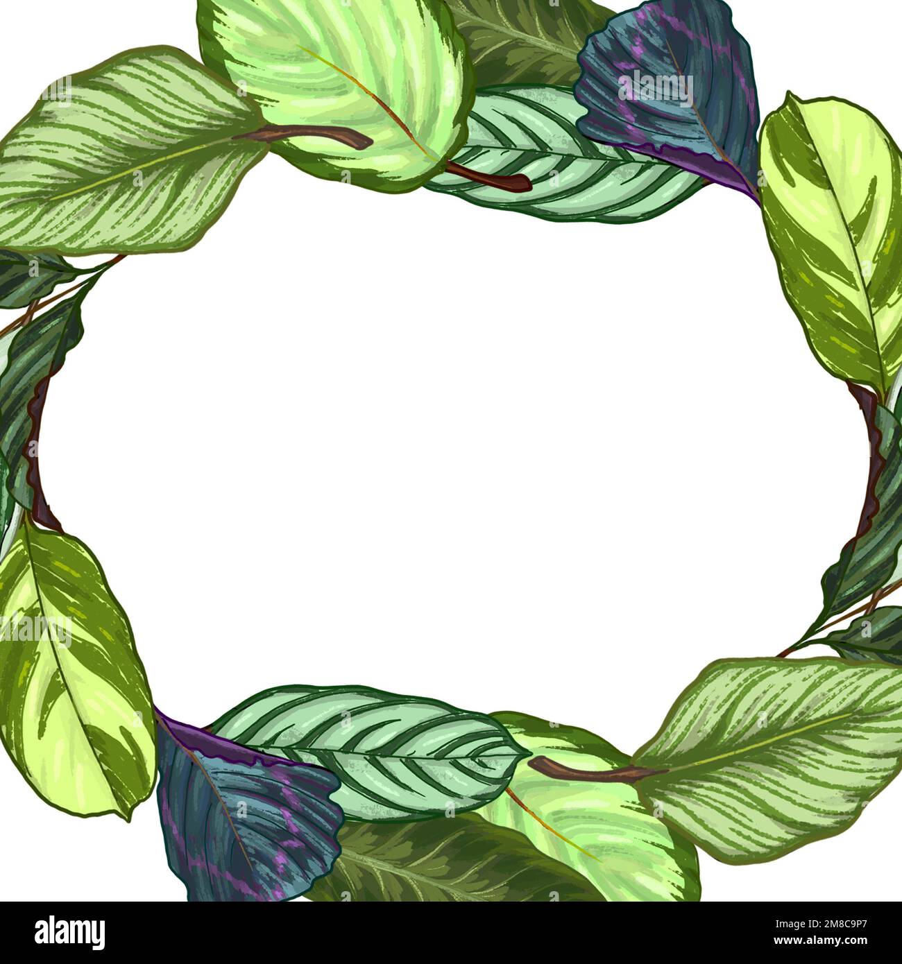 Illustration of indoor plants of various shapes, colors and sizes with ...