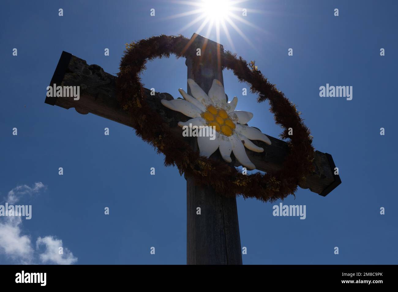 The image of edelweiss as a symbol of the Alpine states. Austria ...