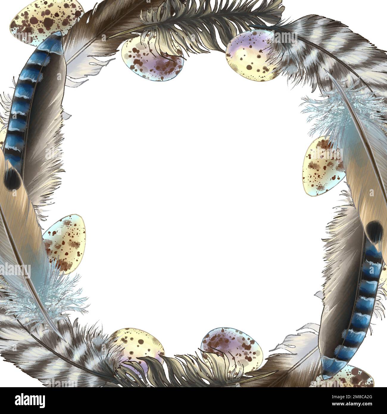 Beautiful feathers and eggs with spots and stripes in a harmonious ...