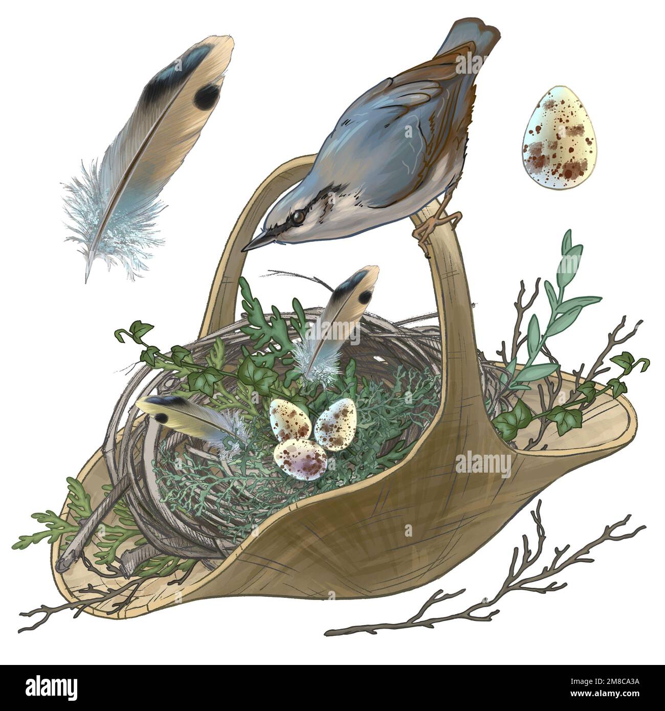 Drawing of a small bird and its nest with eggs. High quality ...