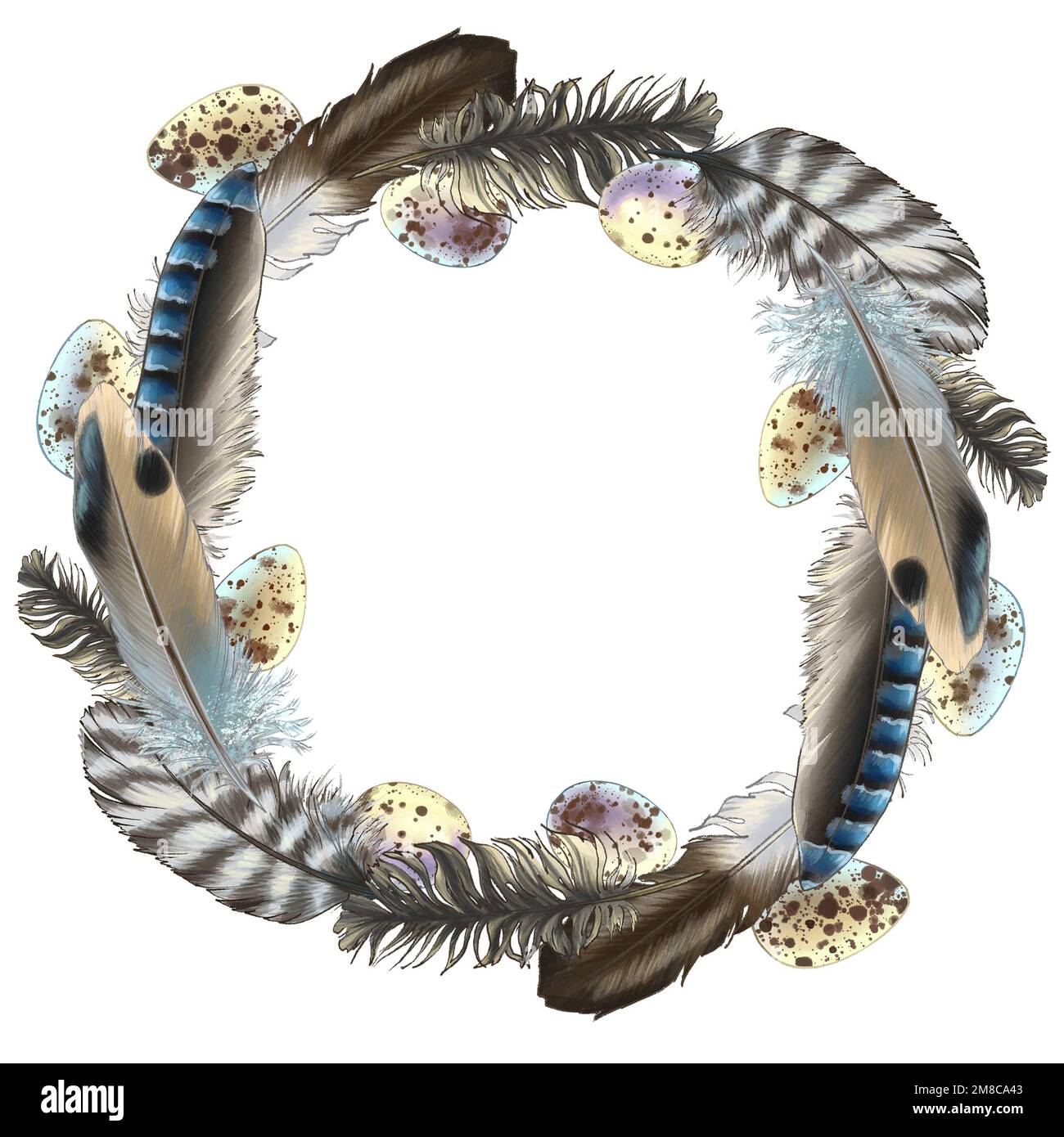 Beautiful feathers and eggs with spots and stripes in a harmonious ...