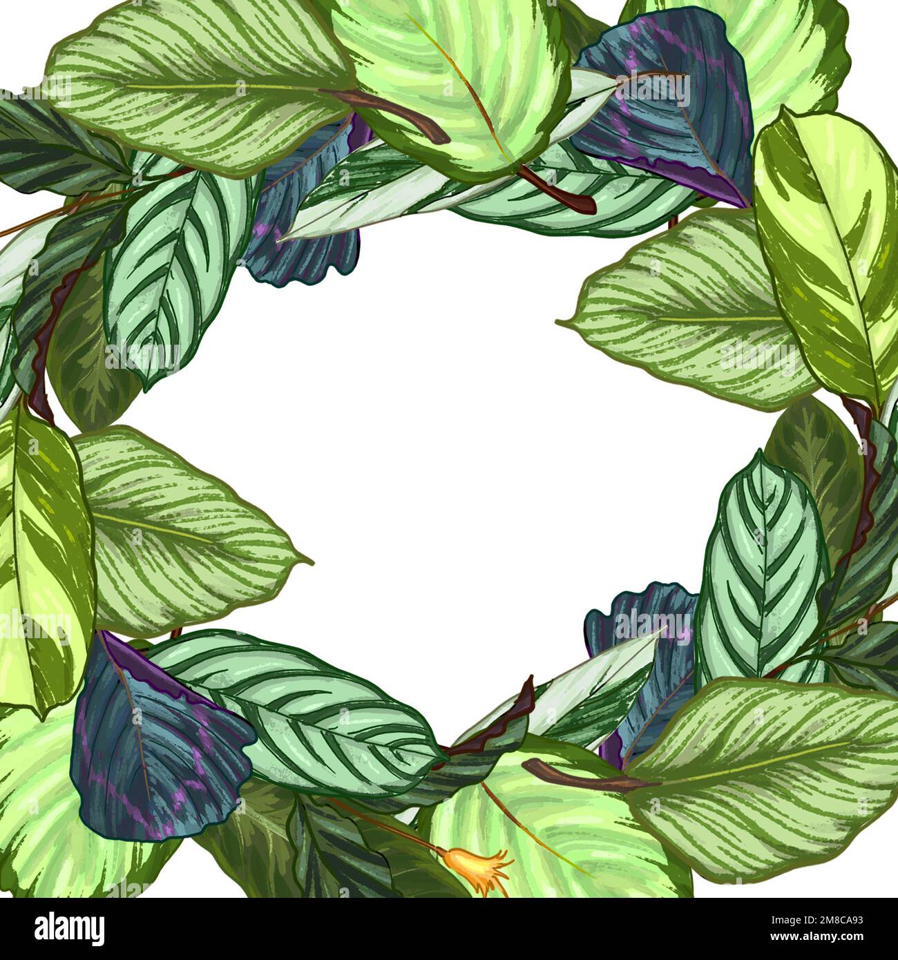 Illustration of indoor plants of various shapes, colors and sizes with ...