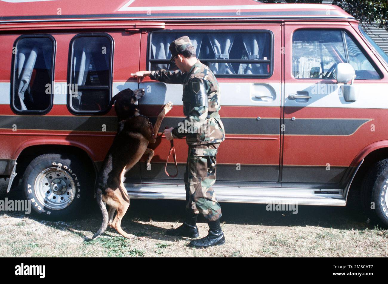 Arro, a highly trained military drug dog, sniffs a van to detect the ...
