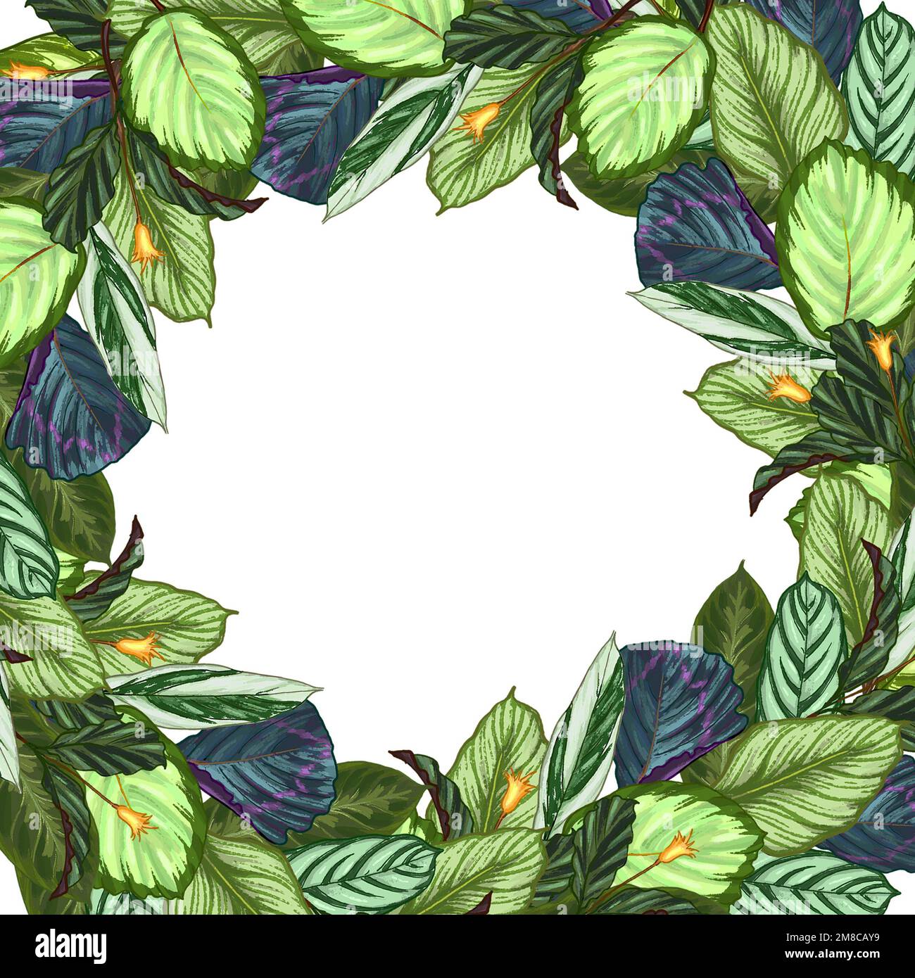 Illustration of indoor plants of various shapes, colors and sizes with ...