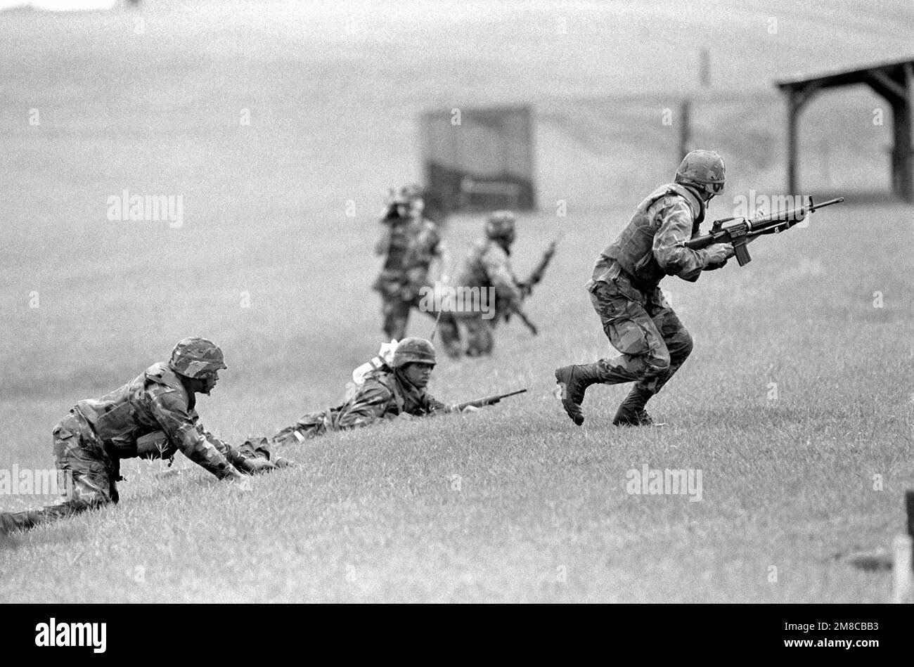 A fire team from Company D, 2nd Light Armored Infantry Battalion ...