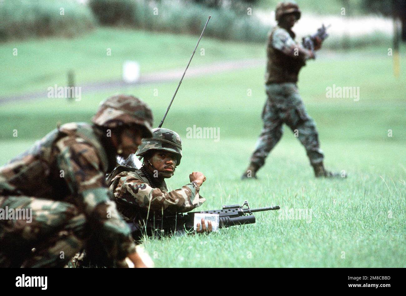 A team leader from the 2nd Light Armored Infantry Battalion, attached ...