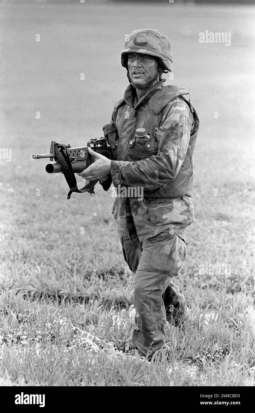 A Marine from Company D, 2nd Light Armored Infantry Battalion, holds ...