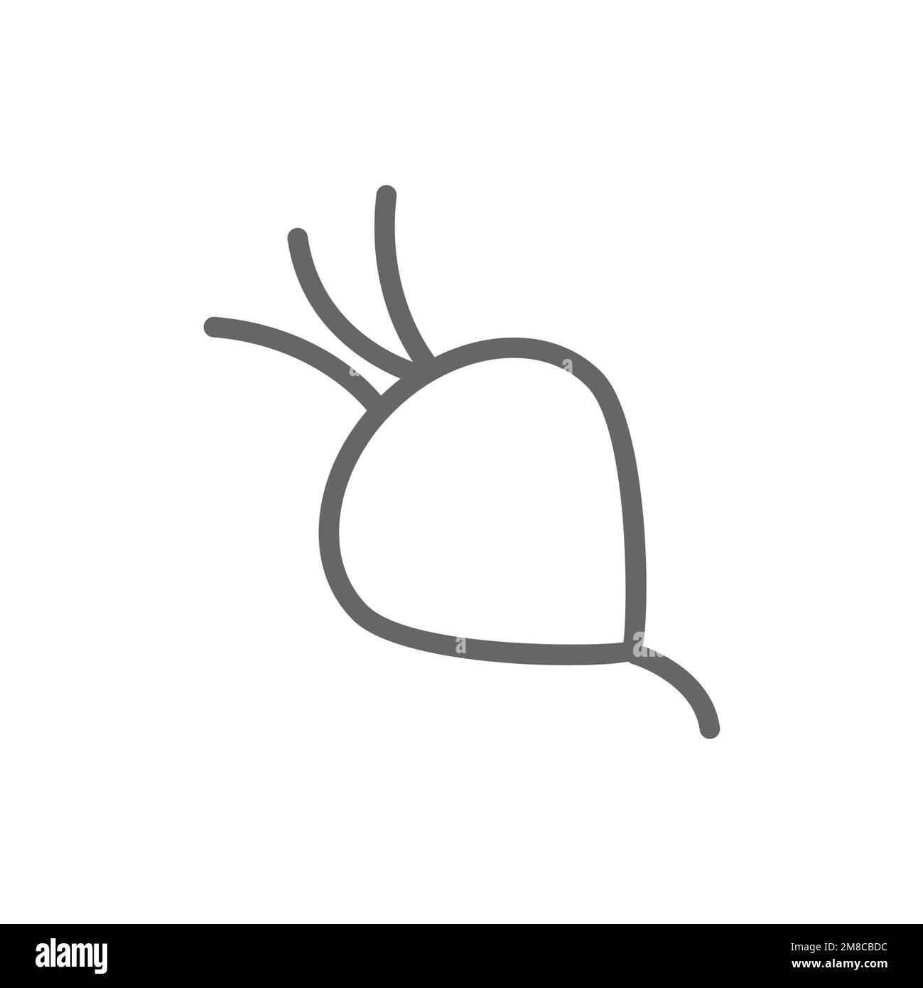 Radish icon, common graphic resources, vector illustration Stock Vector ...