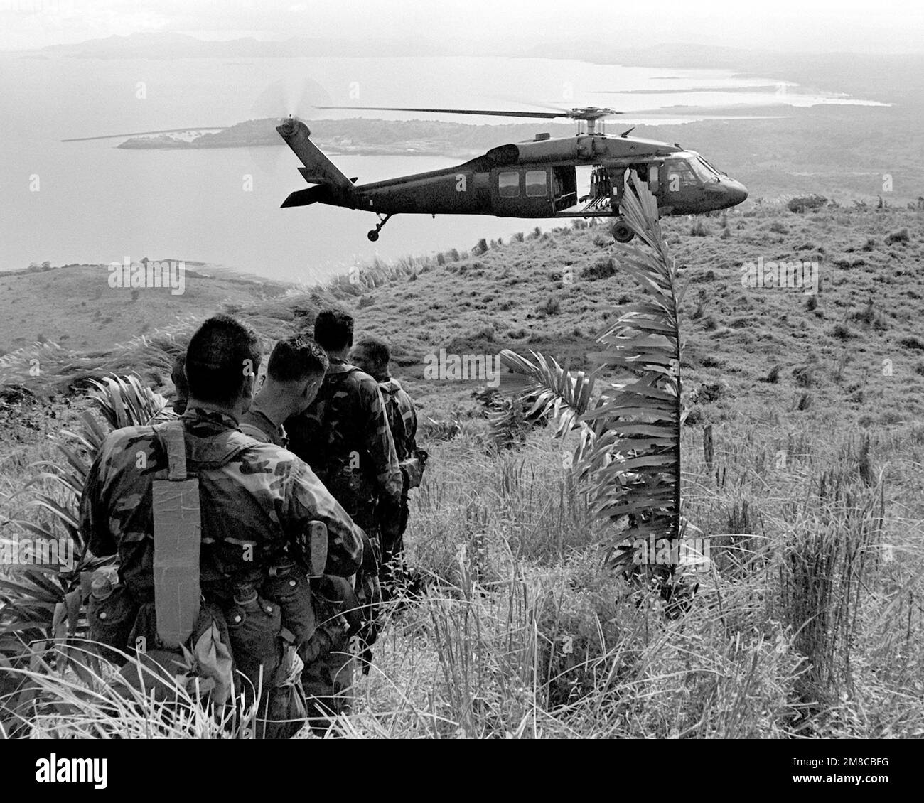 Marines from Company D. 2nd Light Armored Infantry Battalion, wait to ...