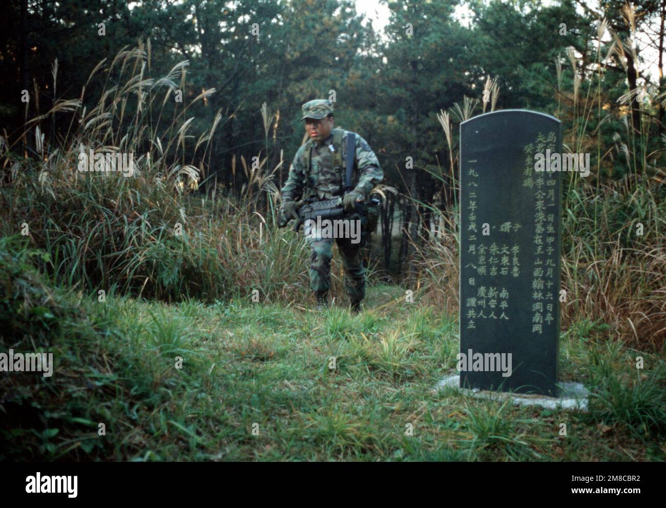 Armed with an M16A1 rifle equipped with an M203 grenade launcher, STAFF ...