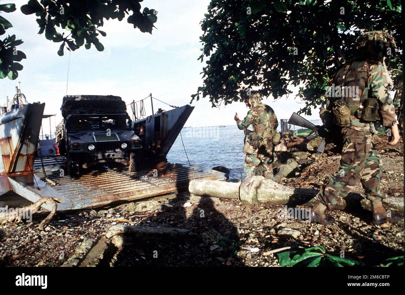 Coco solo base hi-res stock photography and images - Alamy