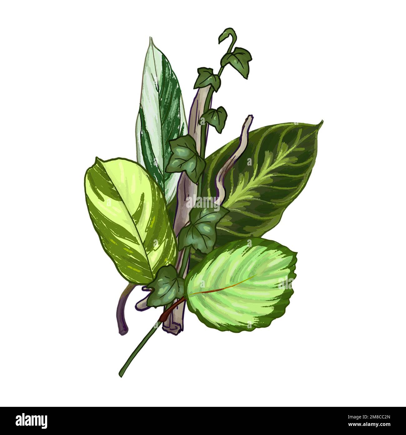 Illustration of indoor plants of various shapes, colors and sizes with ...