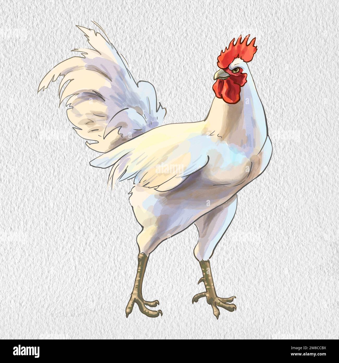 a set of illustrations of domestic chickens, poultry farming, chickens ...
