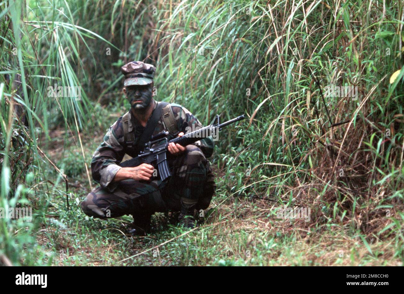 A member of 3rd Squadron, 2nd Platoon, Company K, 3rd Battalion, 6th ...