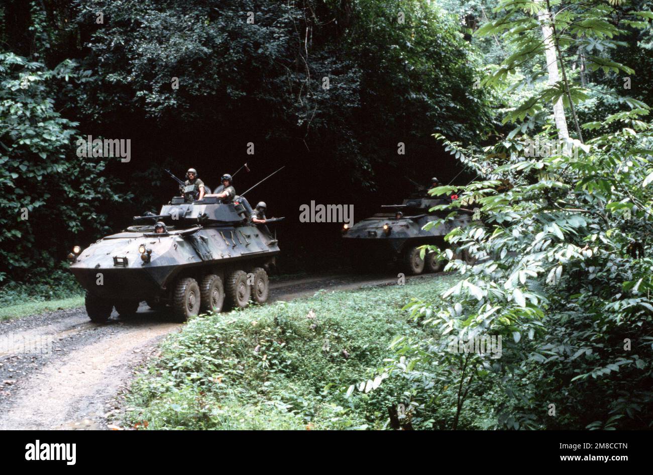 2nd light armored reconnaissance battalion hi-res stock photography and ...