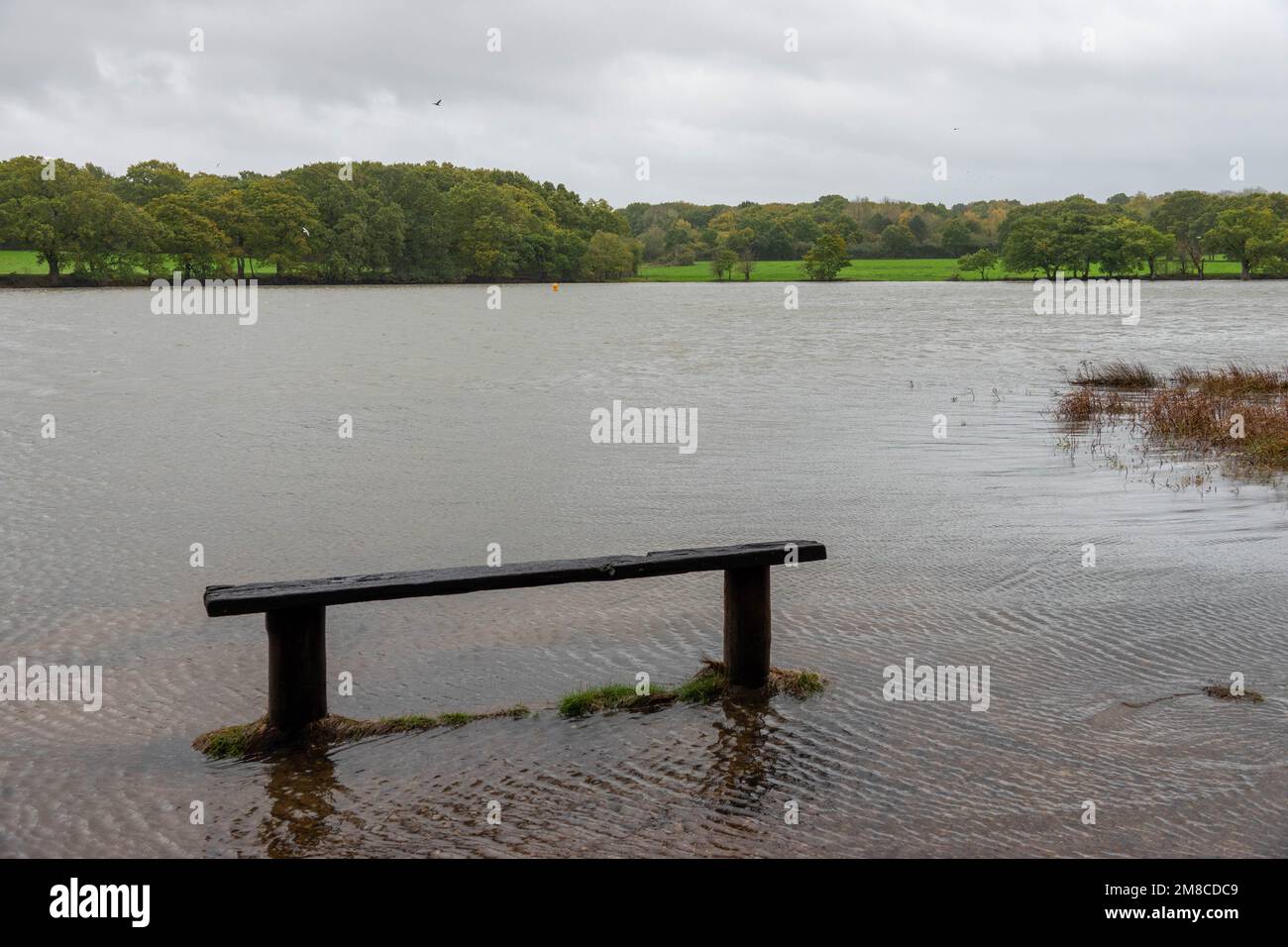 bench surrounded by water at high tide in the River Hamble Hampshire ...