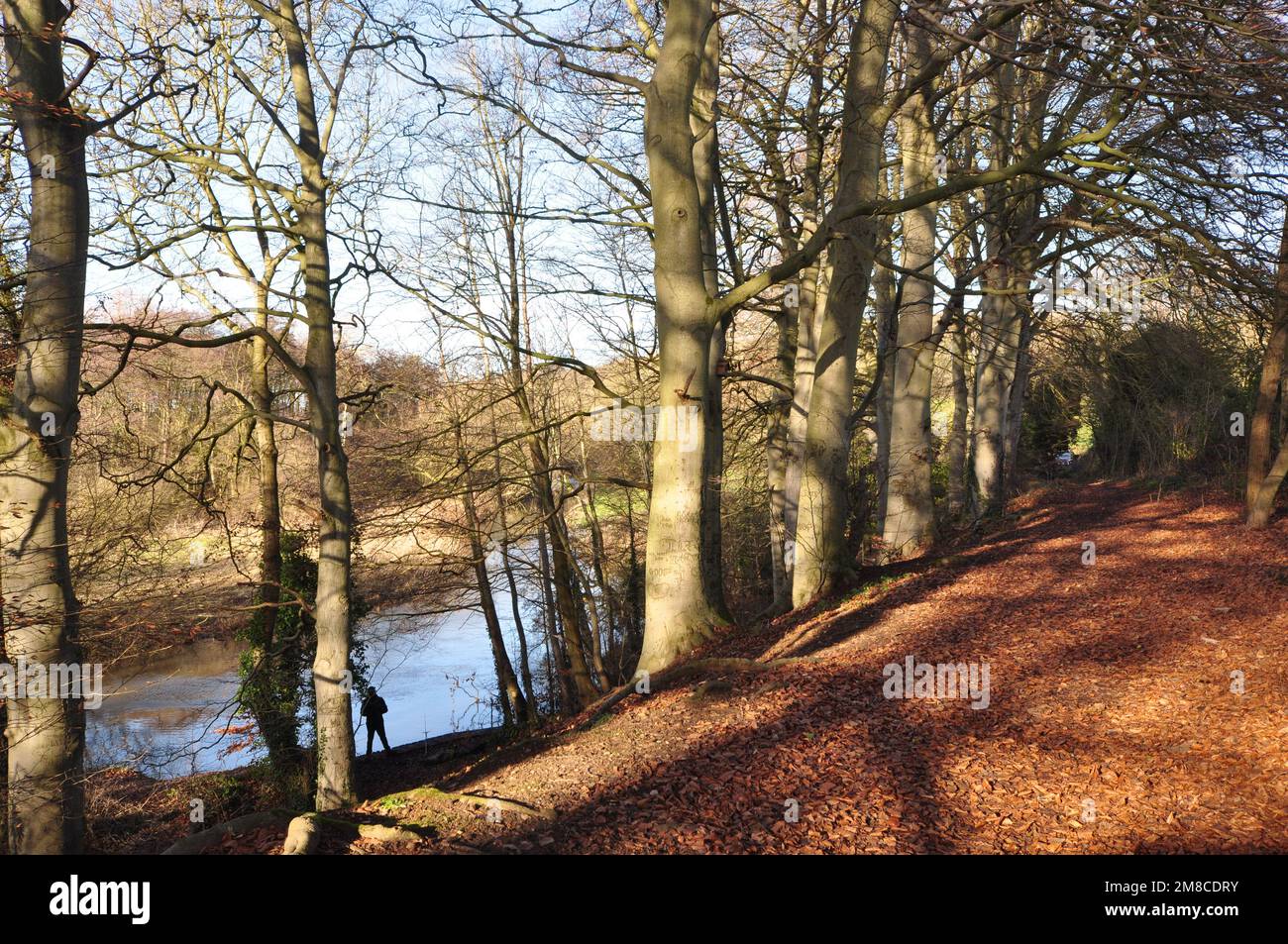 River wensum drayton hi-res stock photography and images - Alamy