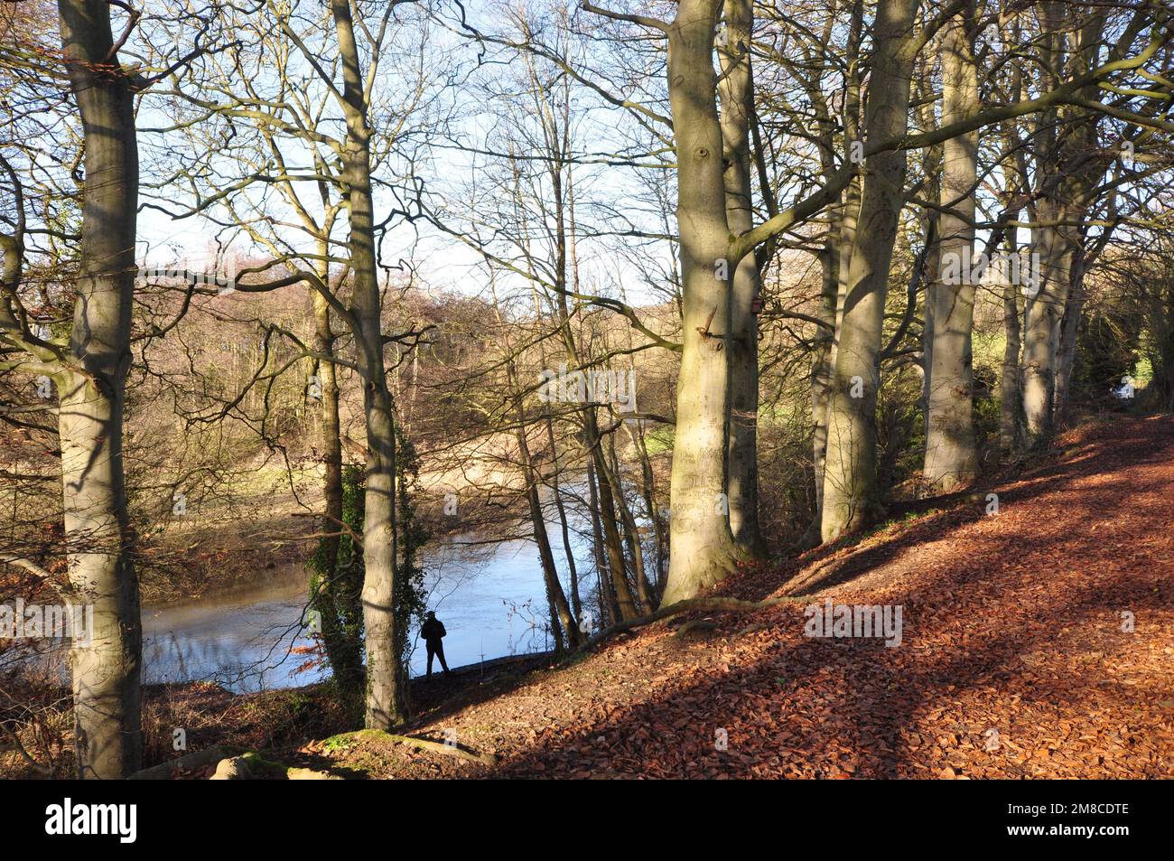 River wensum drayton hi-res stock photography and images - Alamy