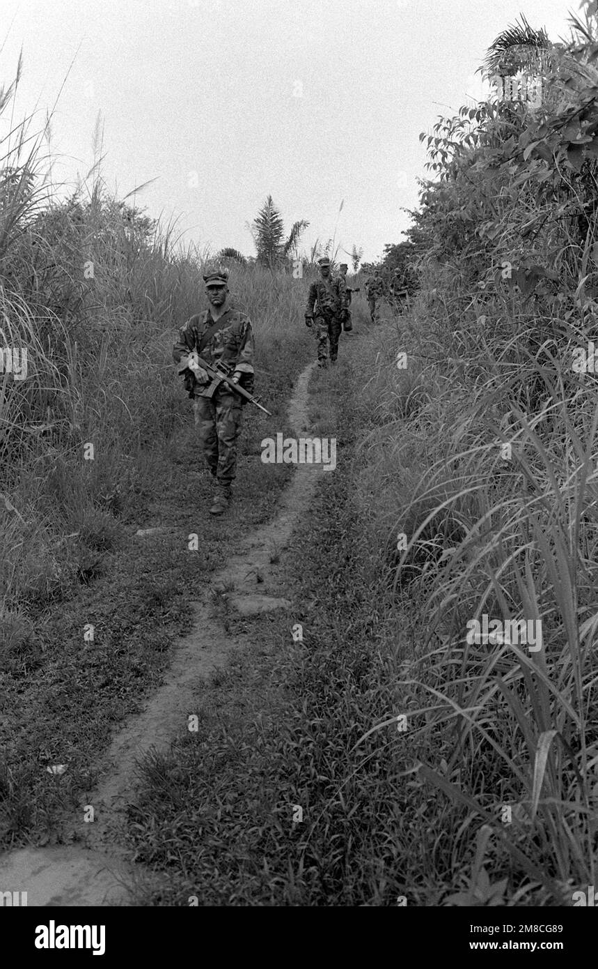 Marines From 3rd Squadron 2nd Platoon Company K 3rd Battalion 6th Marines Move Down A Trail