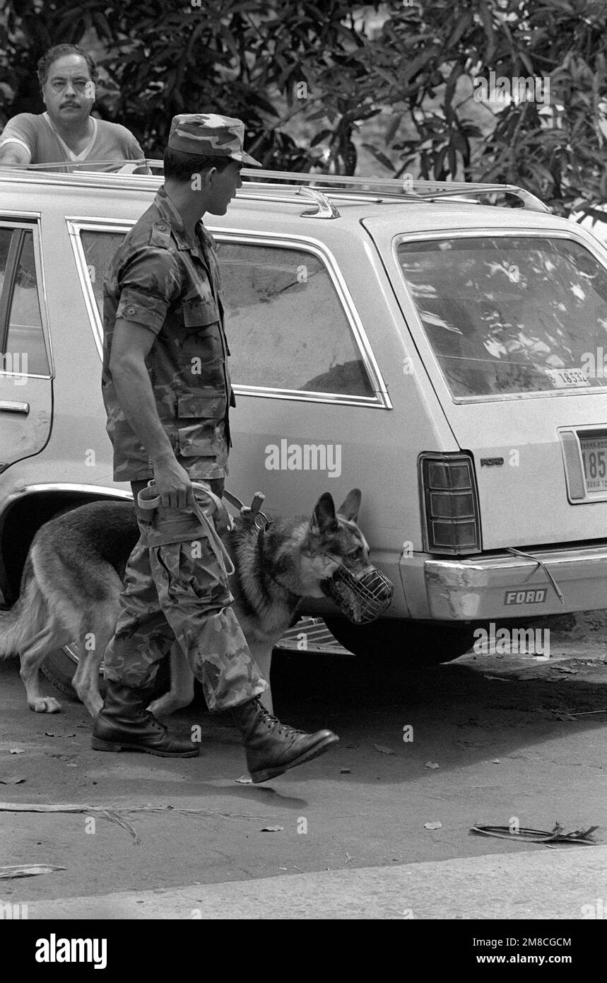 Army bomb dog hi-res stock photography and images - Alamy