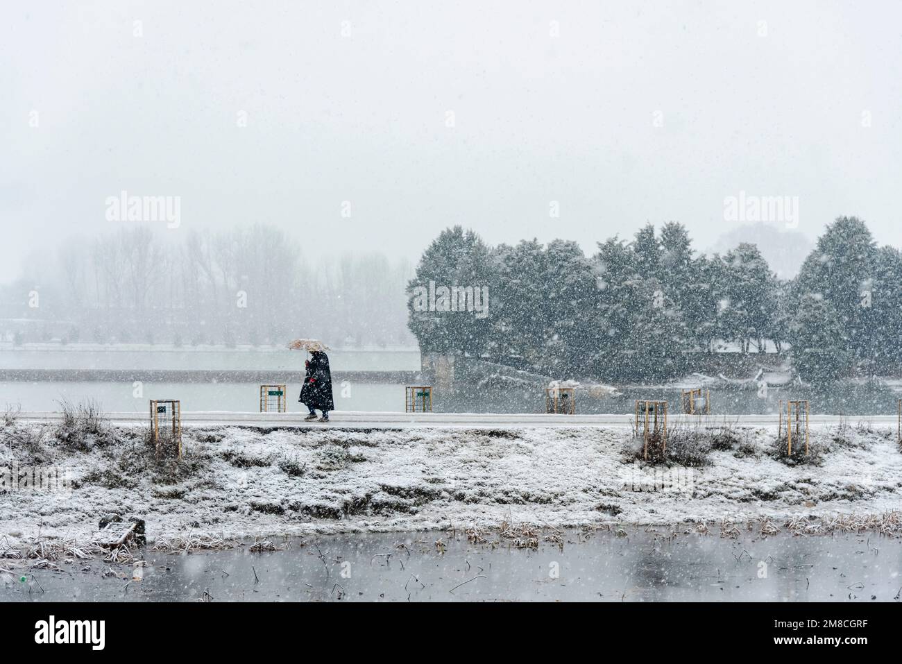 A man with an umbrella walks along a snow covered road during snowfall ...