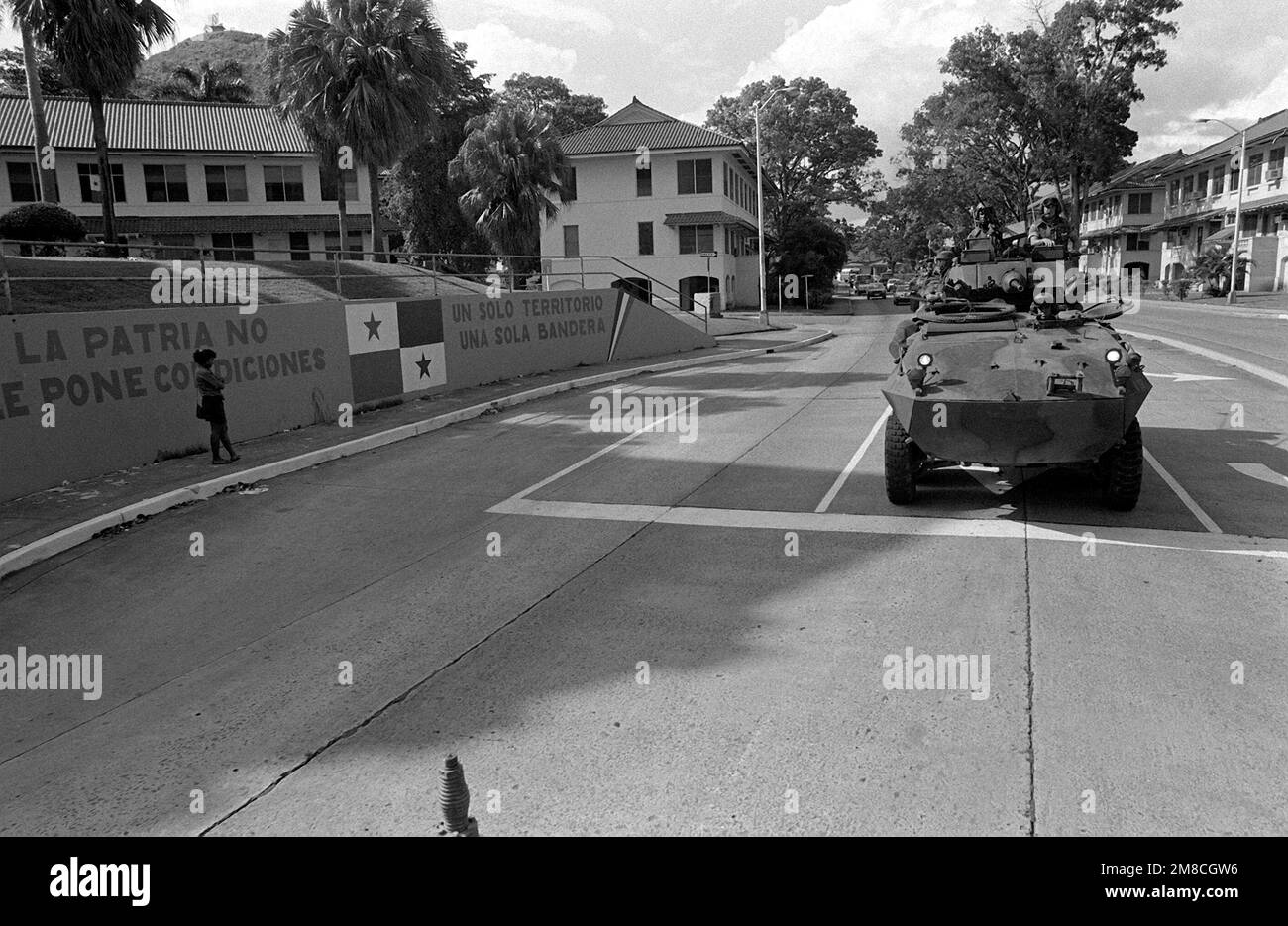 A column of LAV25 light armored vehicles from Company D, 2nd Light ...