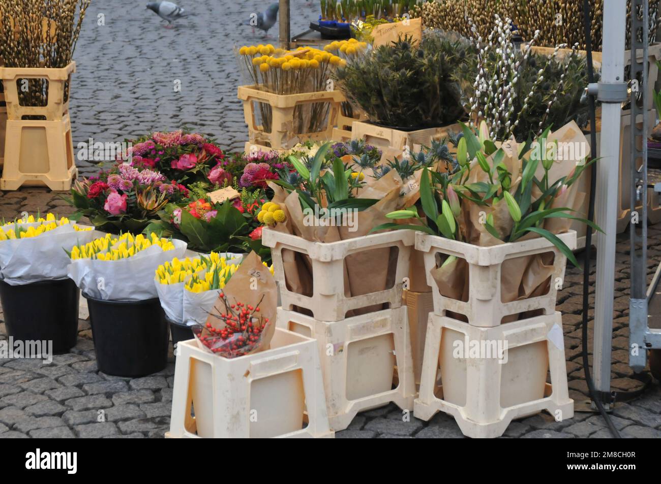 Copenhagen/Denmark/13 January 2023/Flower vendor christianshan torv in ...