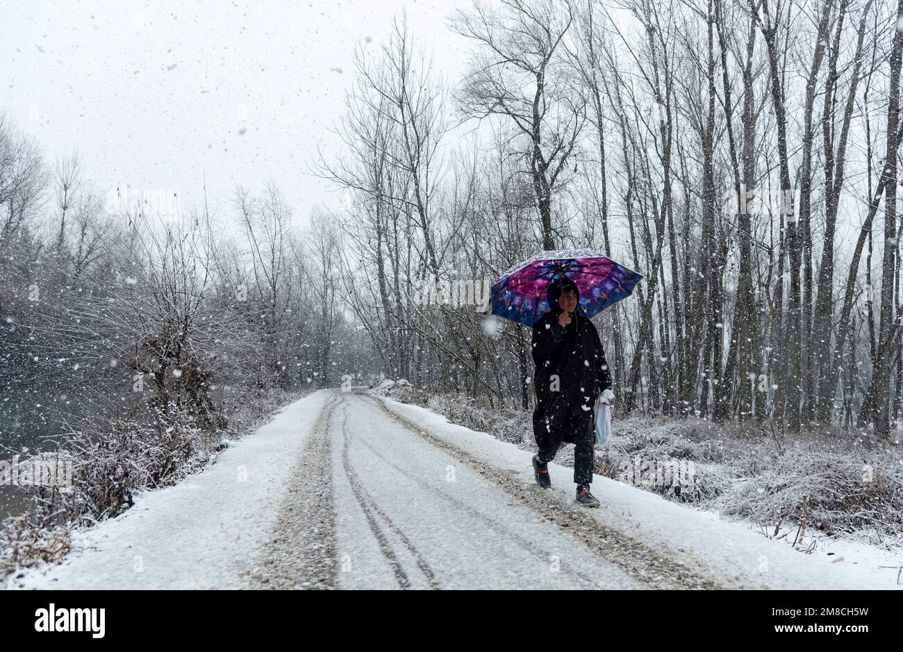 Srinagar, India. 13th Jan, 2023. A boy with an umbrella walks along a ...