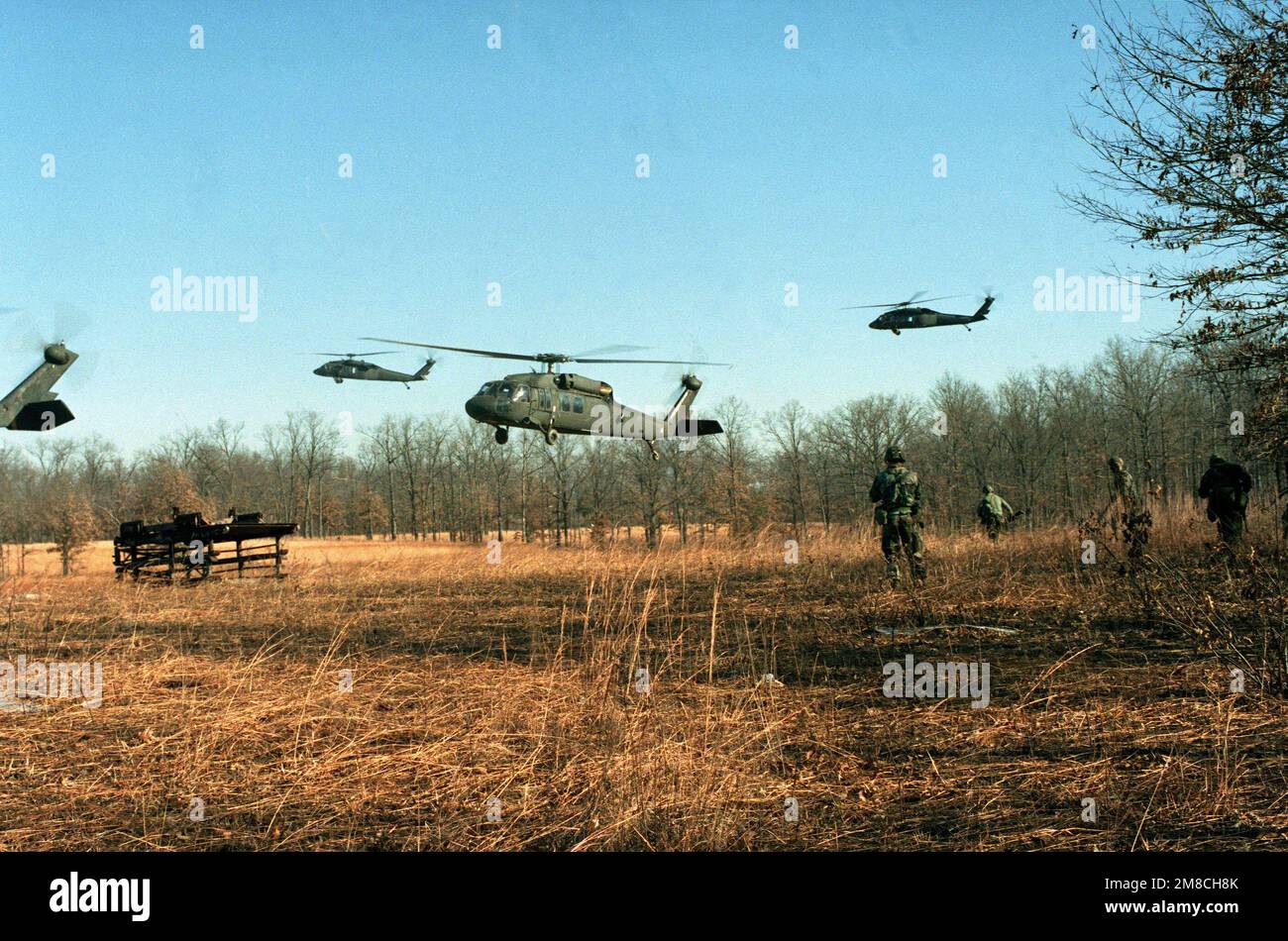 UH-60 Black Hawk helicopters of the 3rd and 6th Battalions, 101st ...