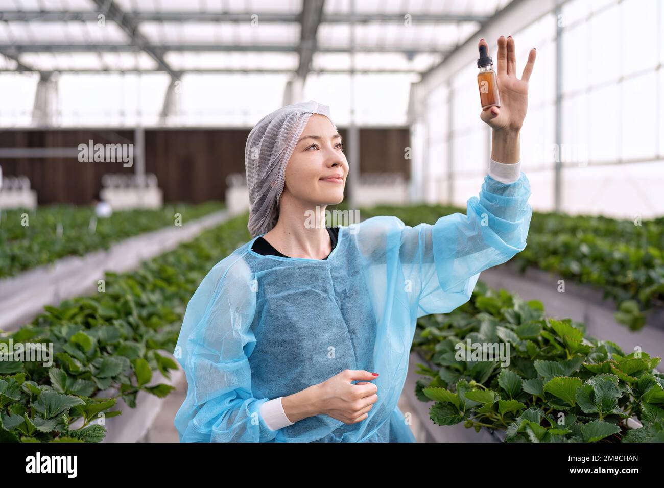 Doctor nutritionist in greenhouse farming proudly showing bottle of ...