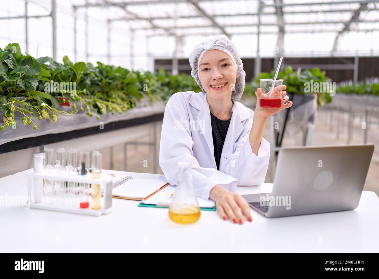 Researcher in greenhouse farming lab take sample of flower and leave ...
