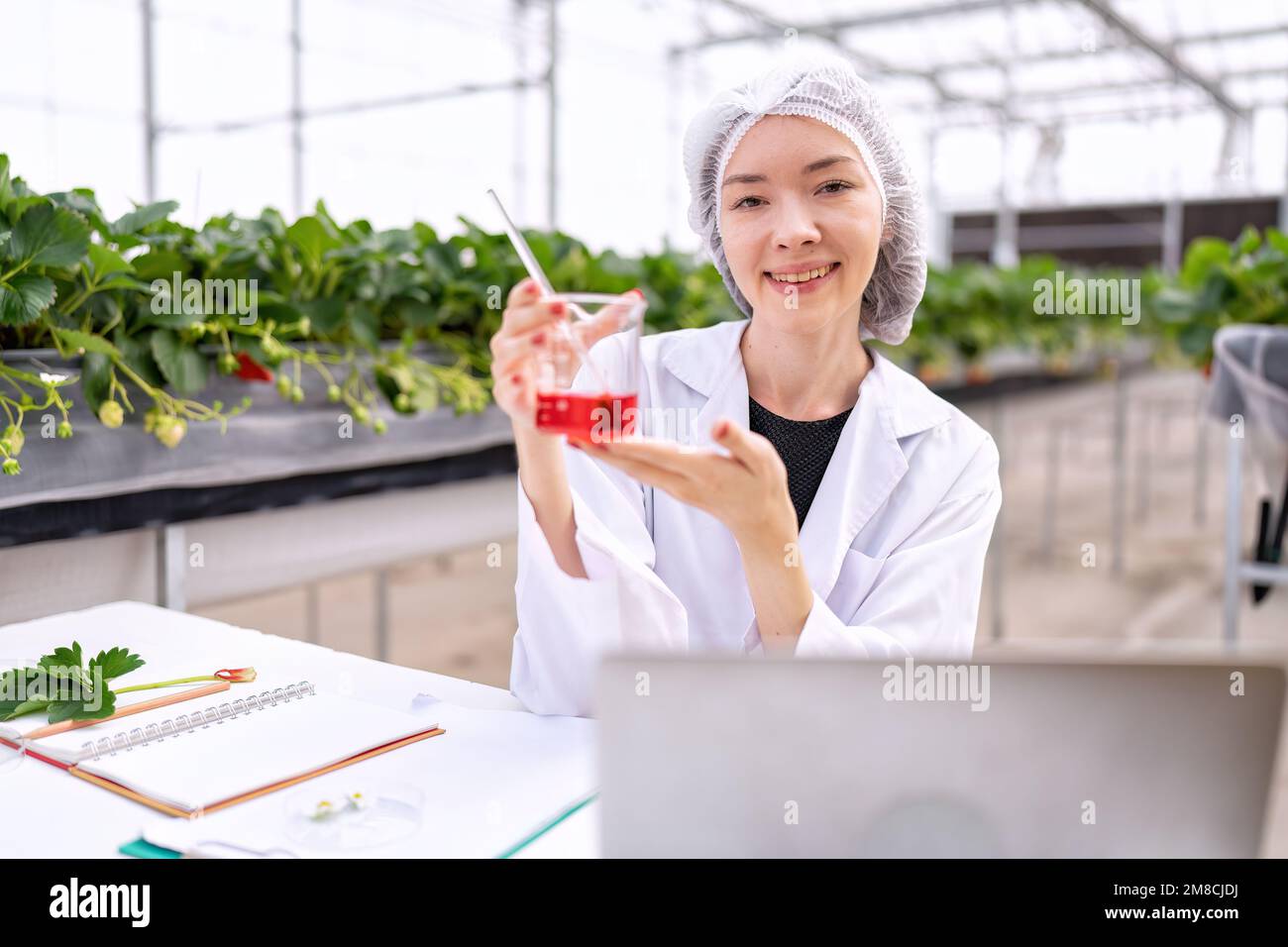 Researcher in greenhouse farming lab take sample of flower and leave ...