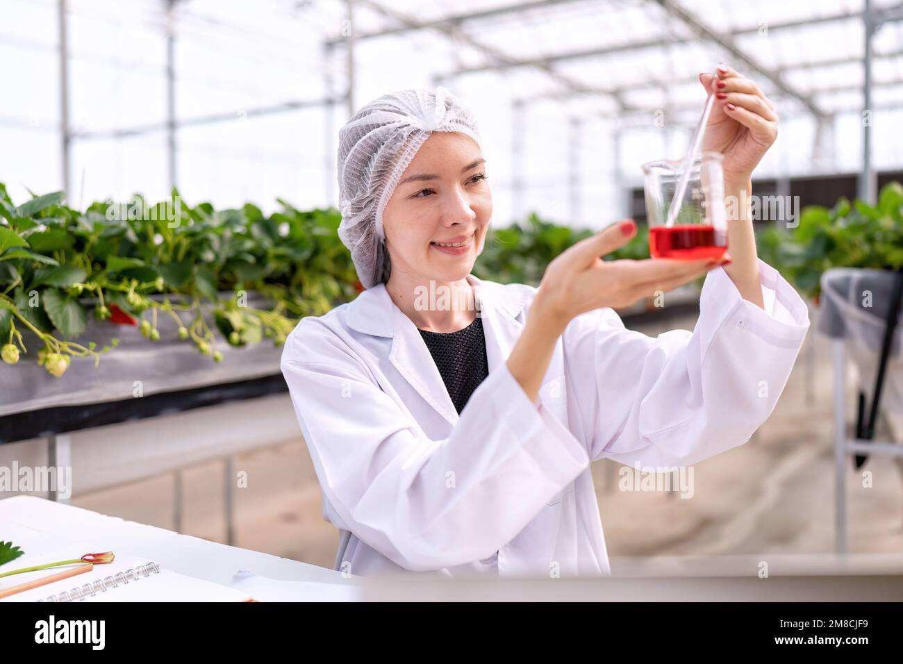 Researcher in greenhouse farming lab take sample of flower and leave ...