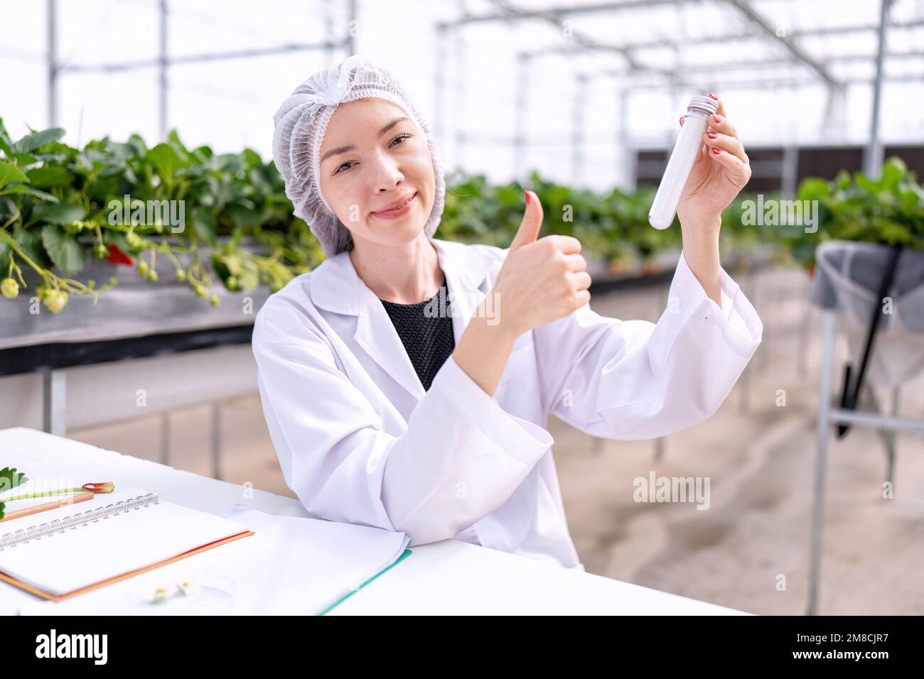 Fruit researcher in greenhouse hydroponic farming test natural ...