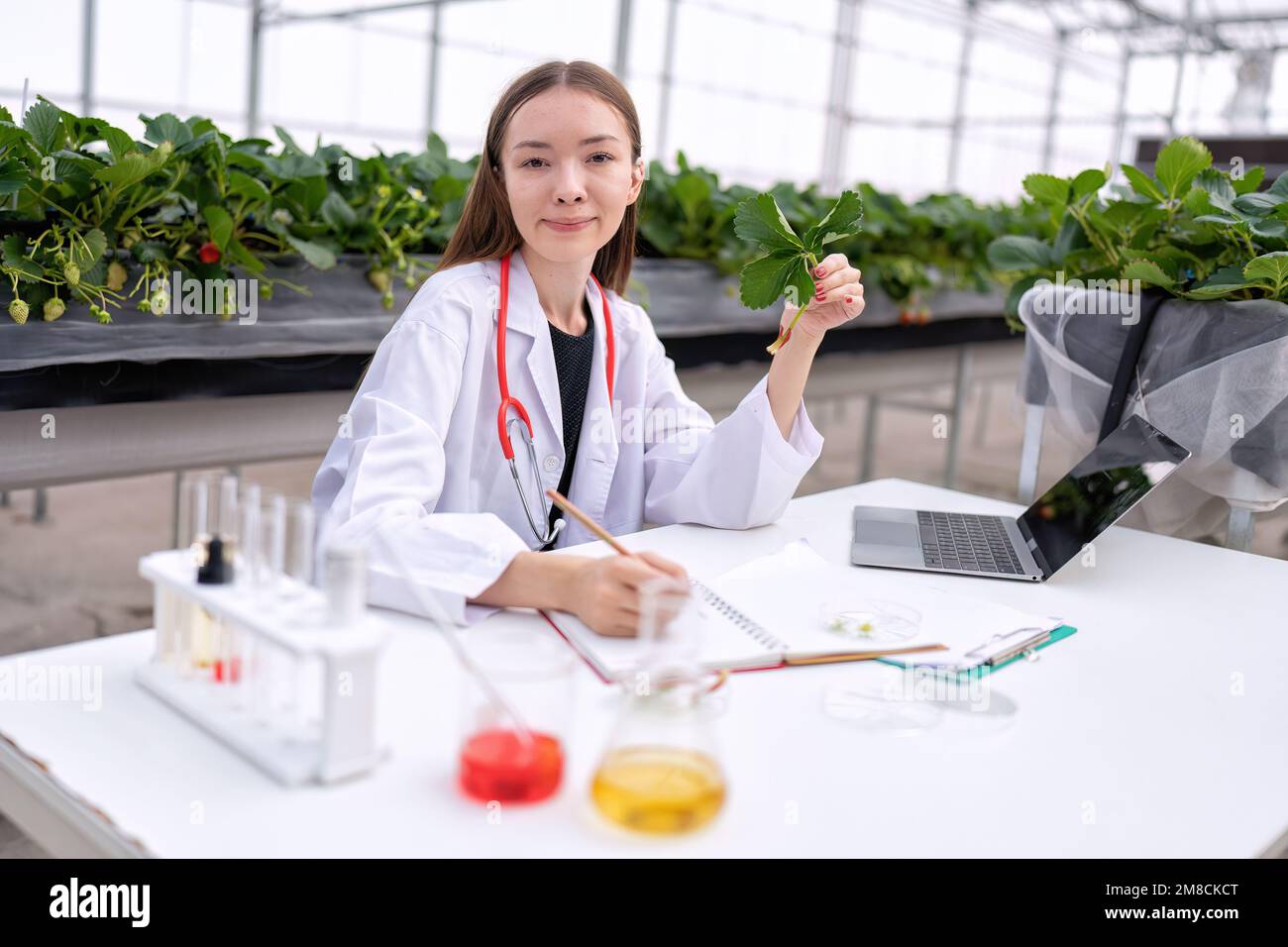 Doctor nutritionist in greenhouse farming take sample flower and leave ...