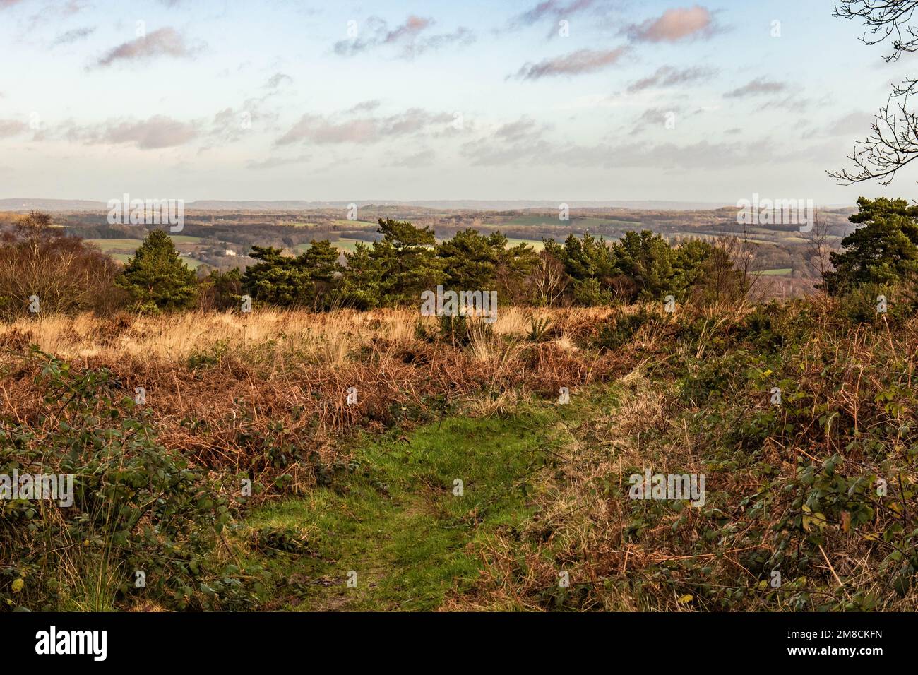 Tranquil forest and hills on a sunny day landscape zen nature ...