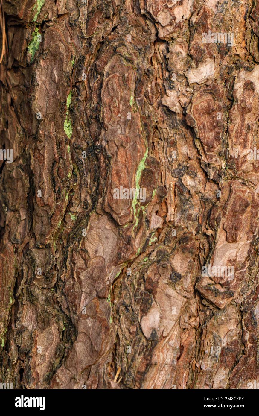 Resourfe hi-res stock photography and images - Alamy