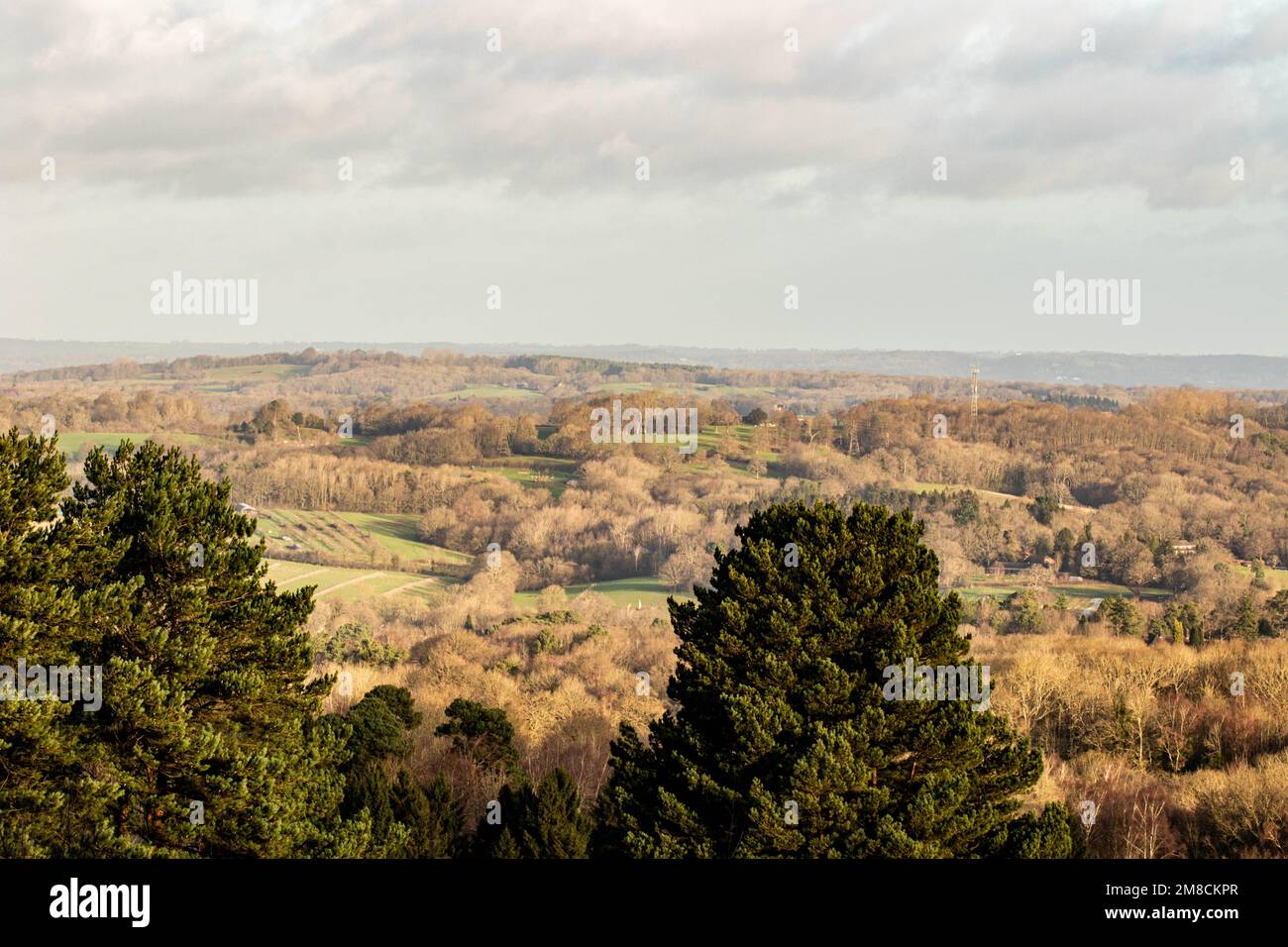 Tranquil forest and hills on a sunny day landscape zen nature ...